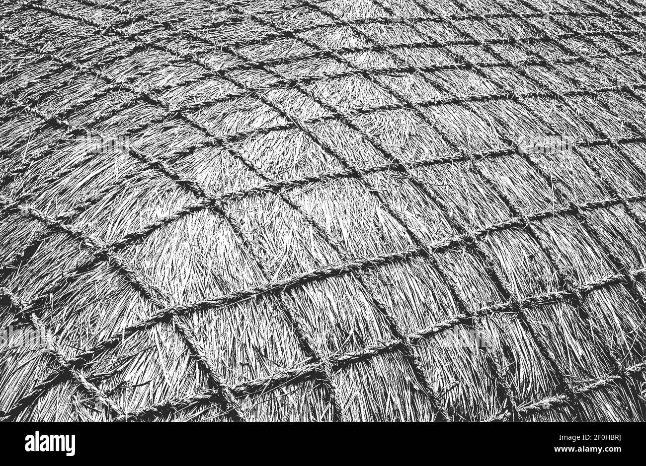 Distressed overlay grass stem texture on the ground. grunge black and ...