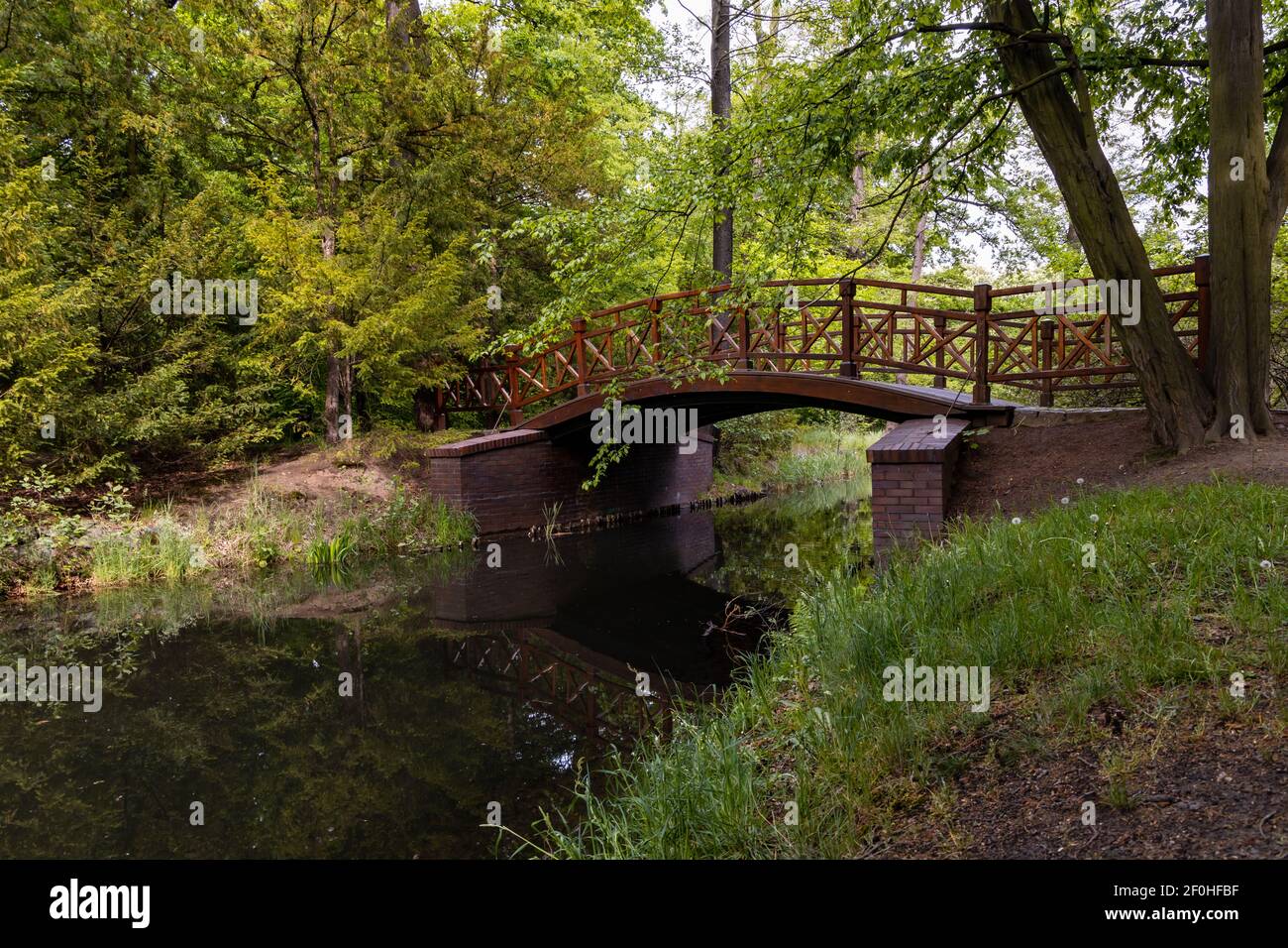 Small wooden bridge in old park full of trees and bushes Stock Photo ...