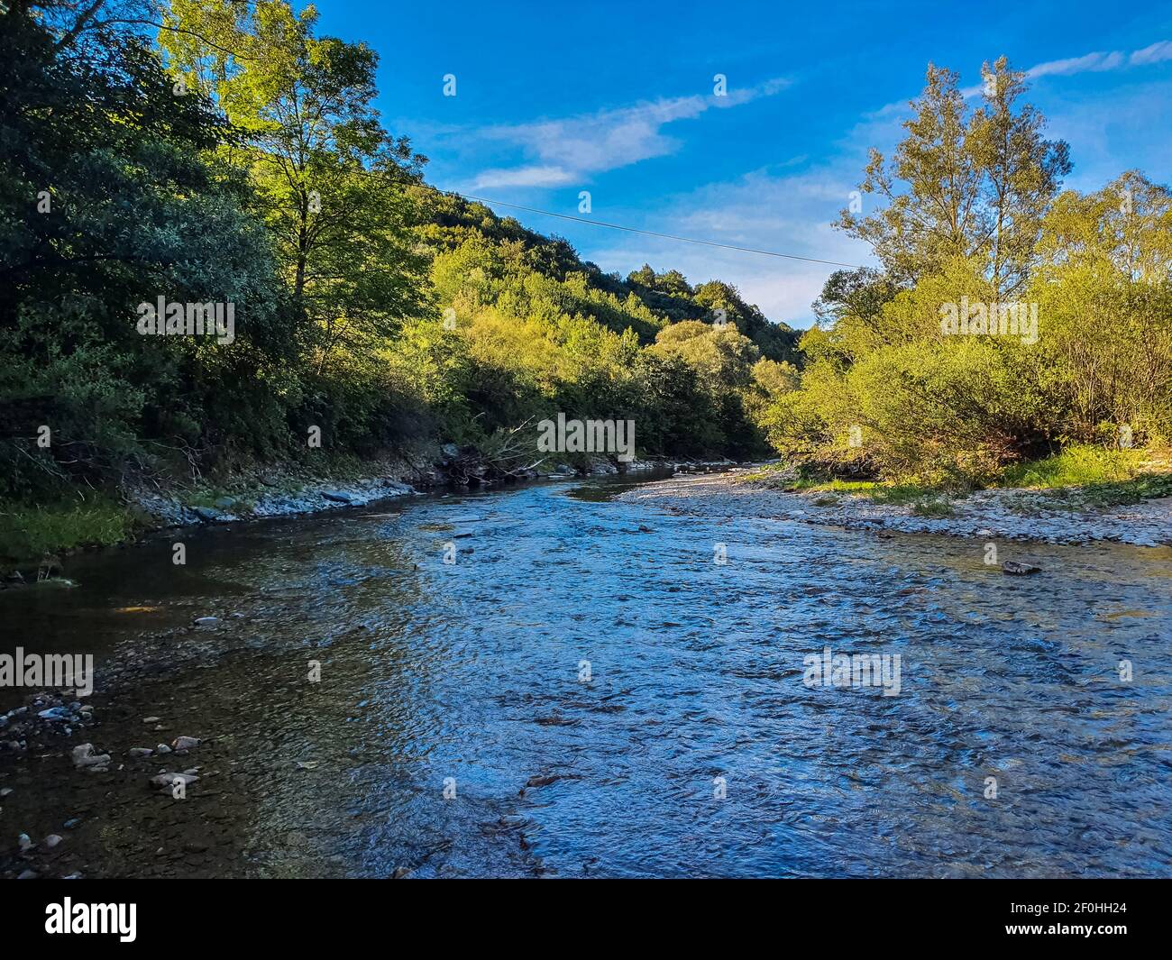 Cuty hi-res stock photography and images - Alamy