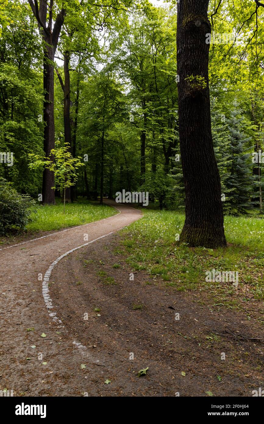 Curvy path hi-res stock photography and images - Alamy