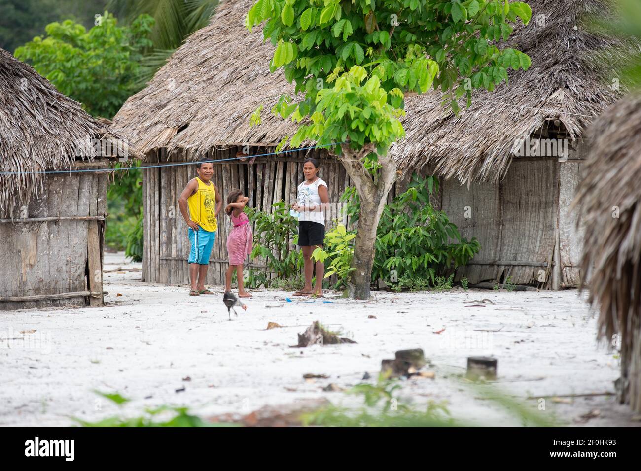 Forest tribes brazil hi-res stock photography and images - Alamy