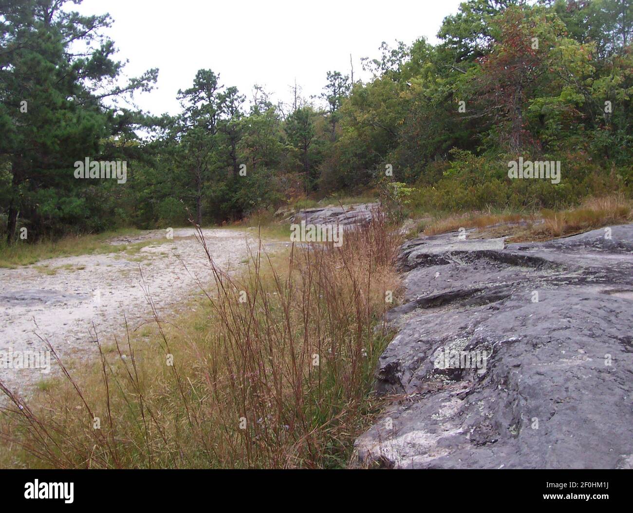Panthertown hi-res stock photography and images - Alamy
