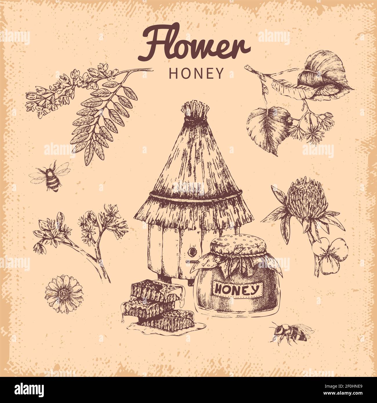Flower honey hand drawn composition with bees hive and combs on beige ...