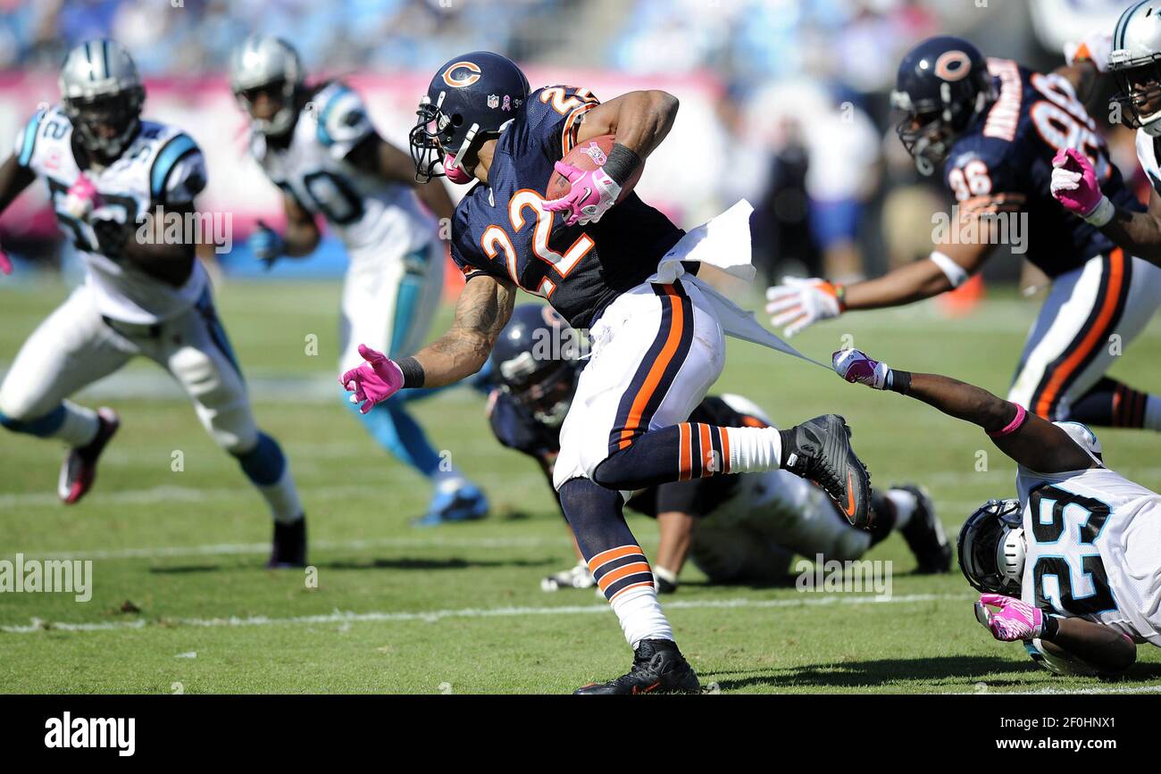 Carolina Panthers' Jordan Pugh (29) reaches for Chicago Bears' Matt ...