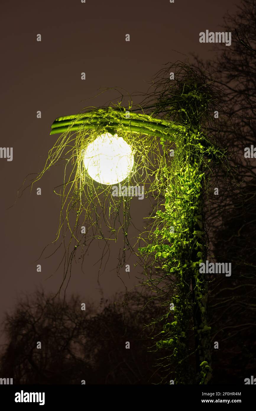 Lamp light night park hi-res stock photography and images - Alamy