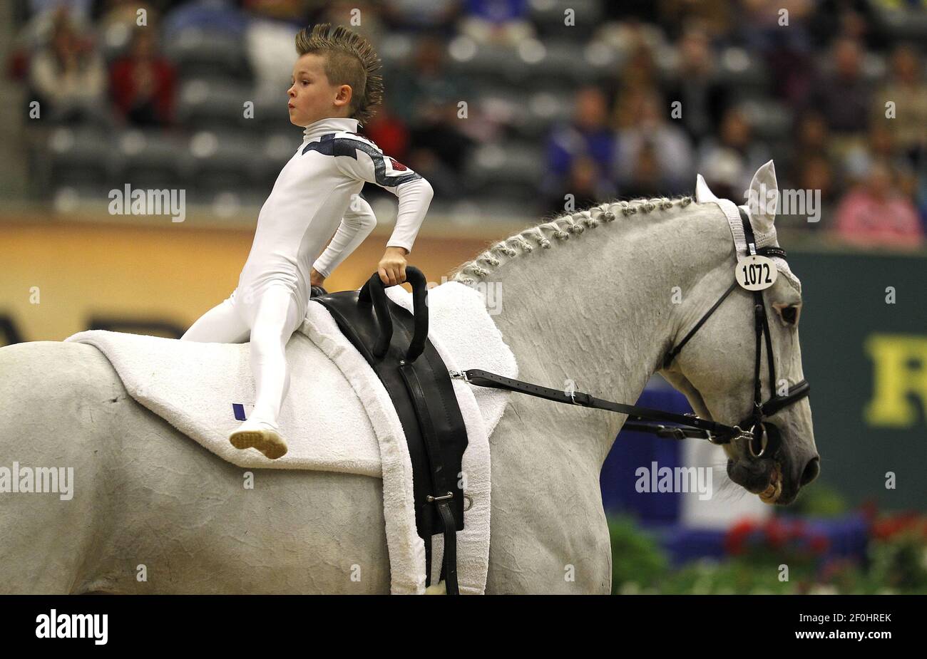 Robin Krause rides Watriano R as the France team competed in Round 1 ...