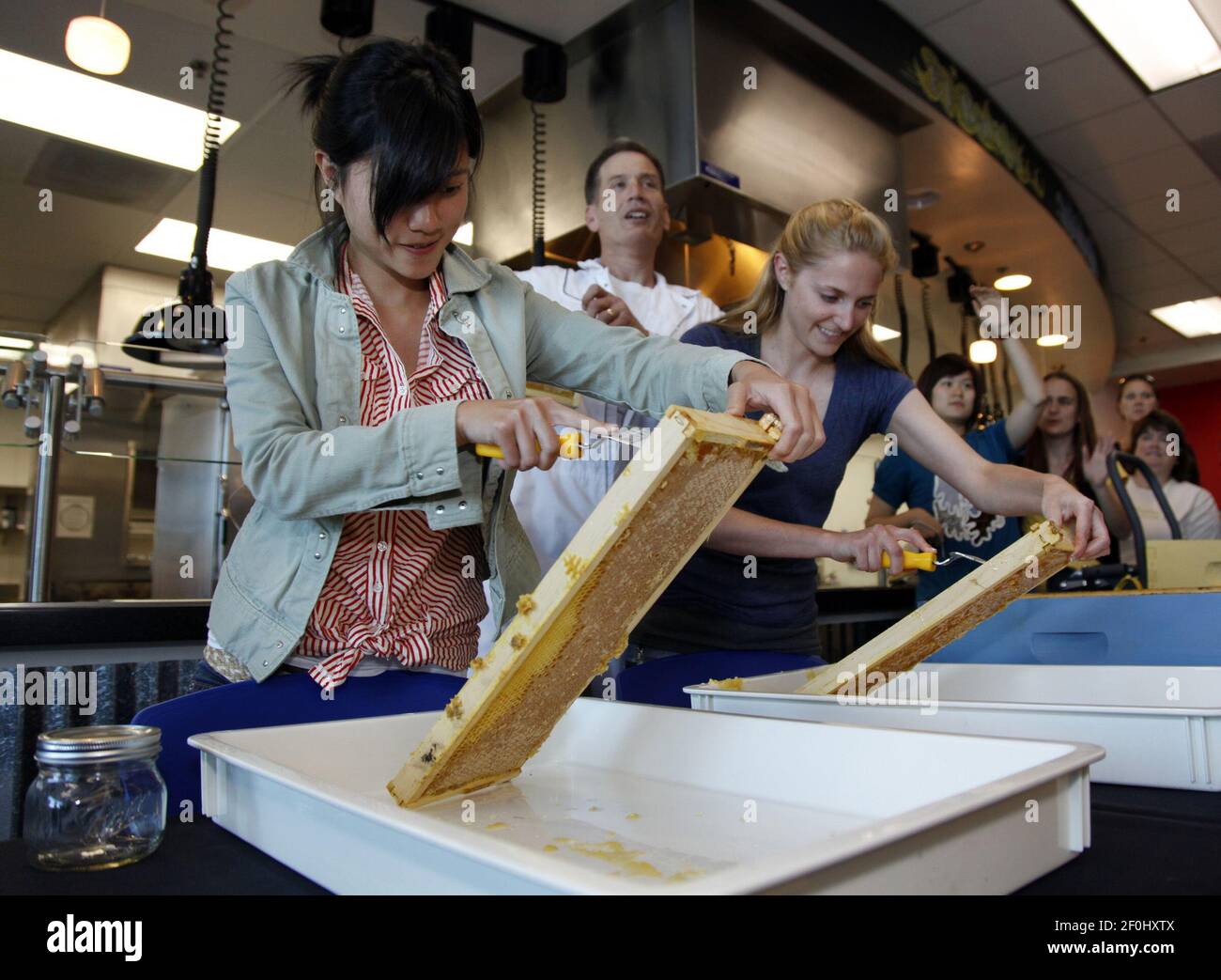 Google empoyees Kathleen Chen and Diane Ratto harvest honey from hives ...