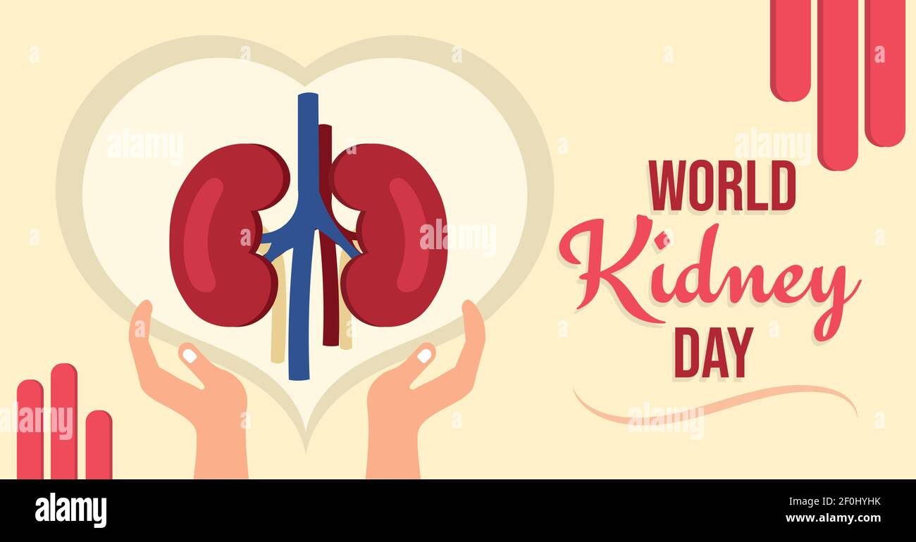 World kidney day illustration, healthcare medical campaign poster ...