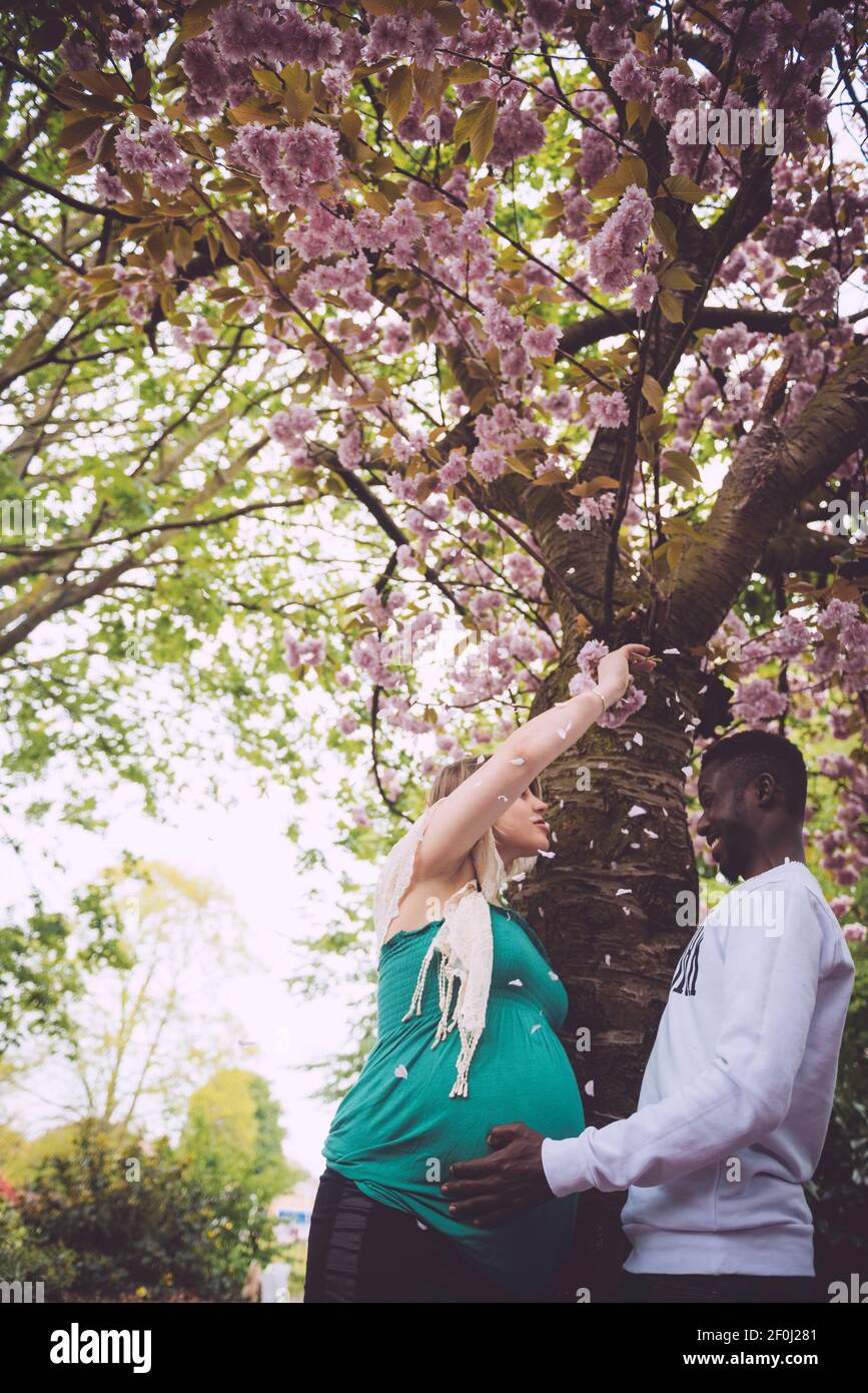 Pregnant couple - father hugging mommy bump Stock Photo - Alamy