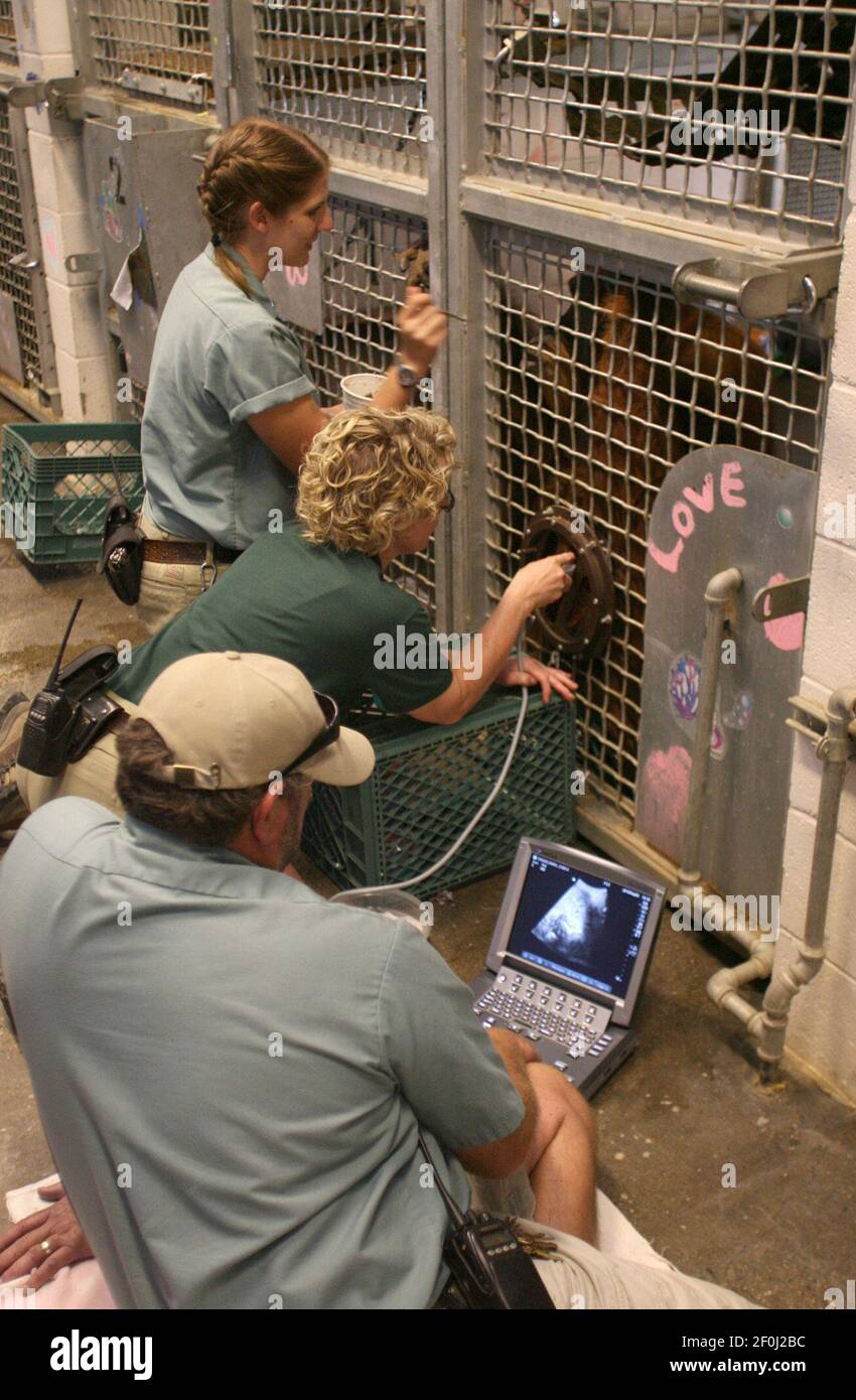 Michelle Bandy, zookeeper, from top, Lyn Myers, assistant curator, and ...