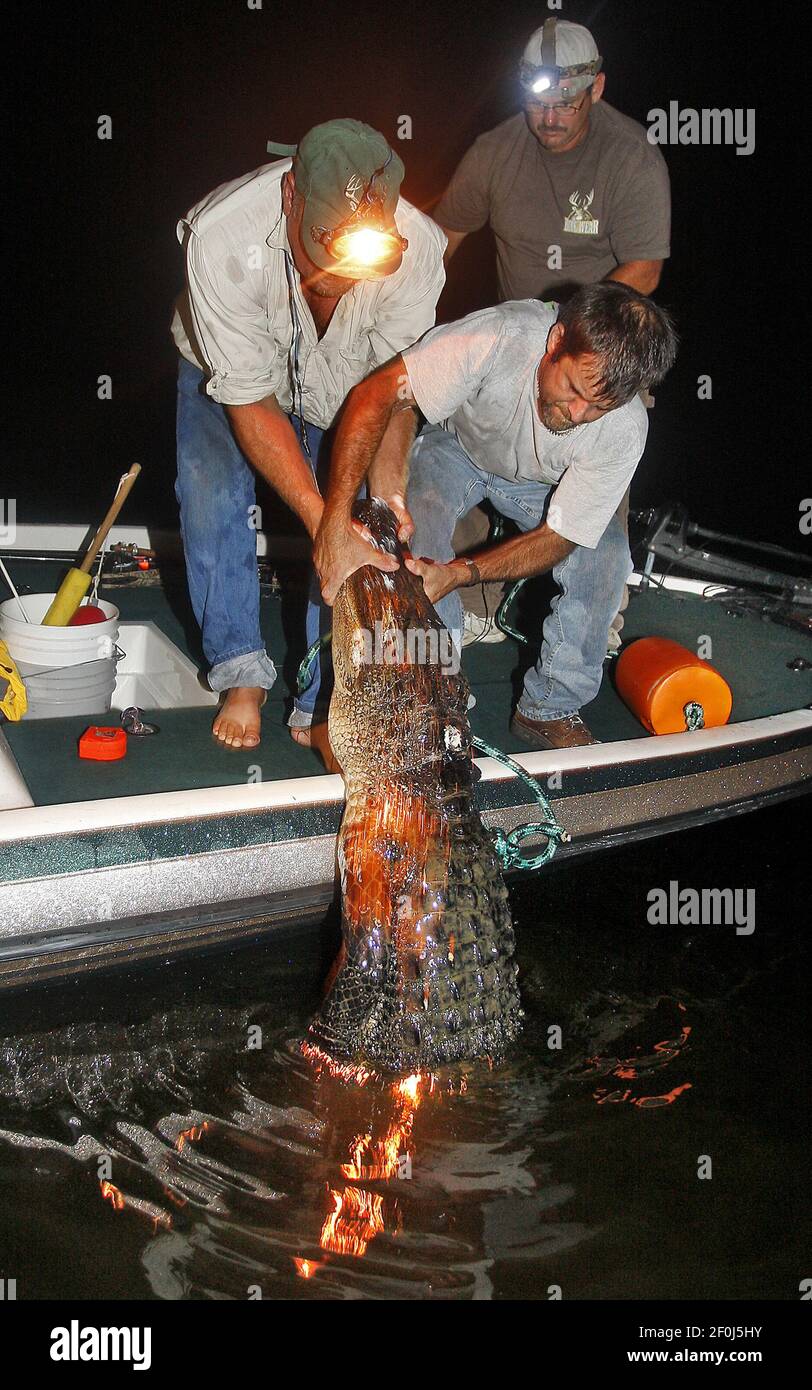Guide Bobby Stafford, front, and agent Dave Manna lift a 9-foot ...