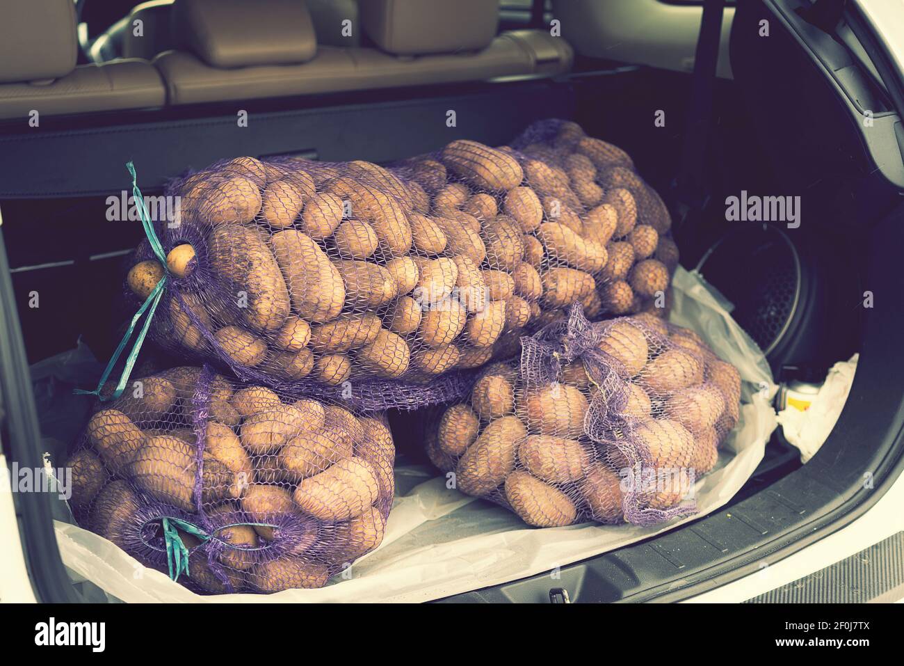 loaded car carries on the trunk bags of potatoes. trunk of a car filled ...