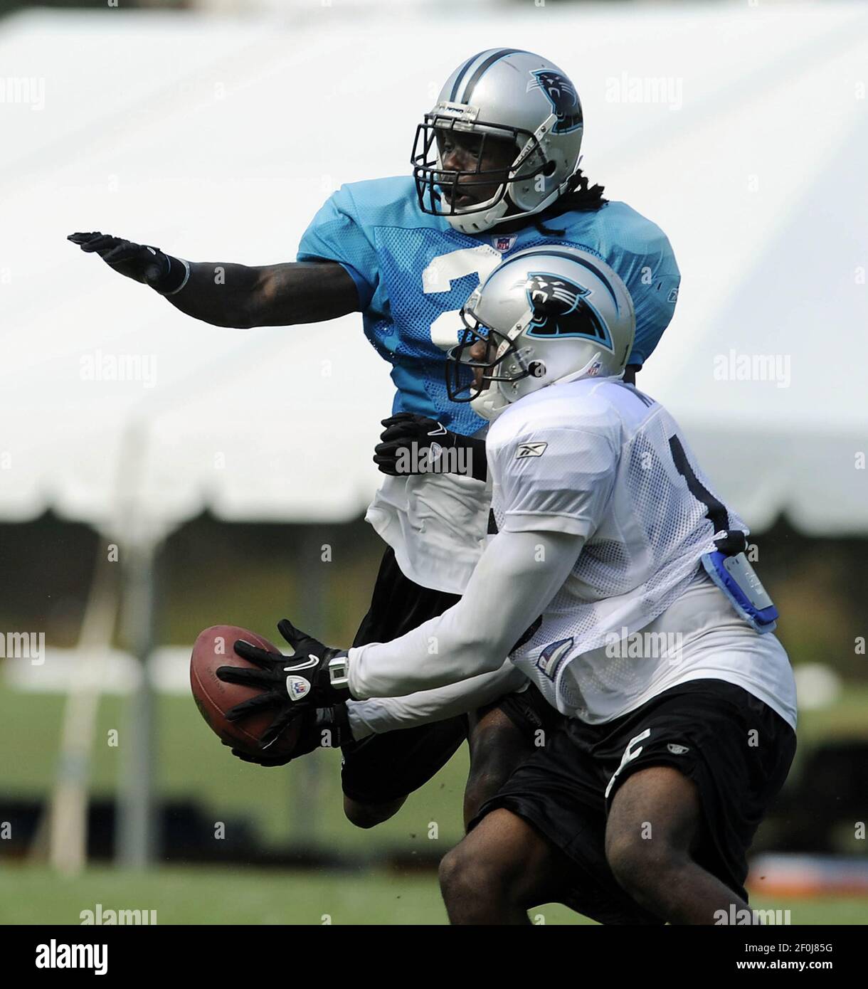The Carolina Panthers' Wallace Wright (15) hauls in a pass past Sherrod ...