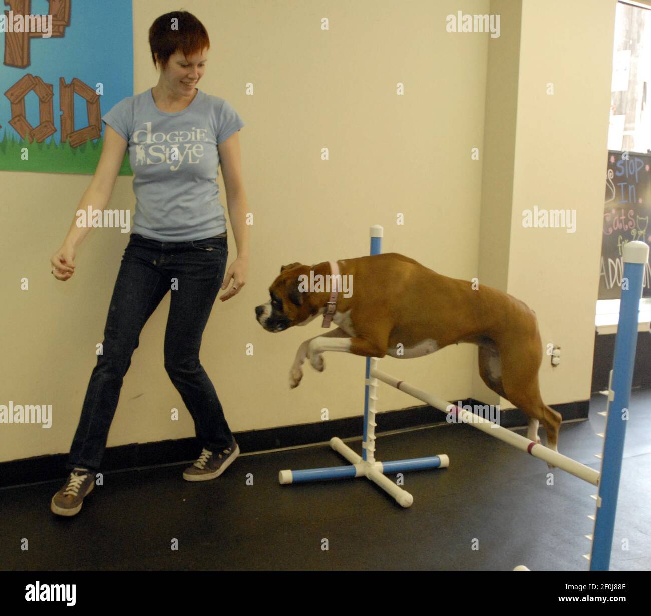 Camp Dogwood counselor Eileen Lord gets Abby the boxer to jump while ...