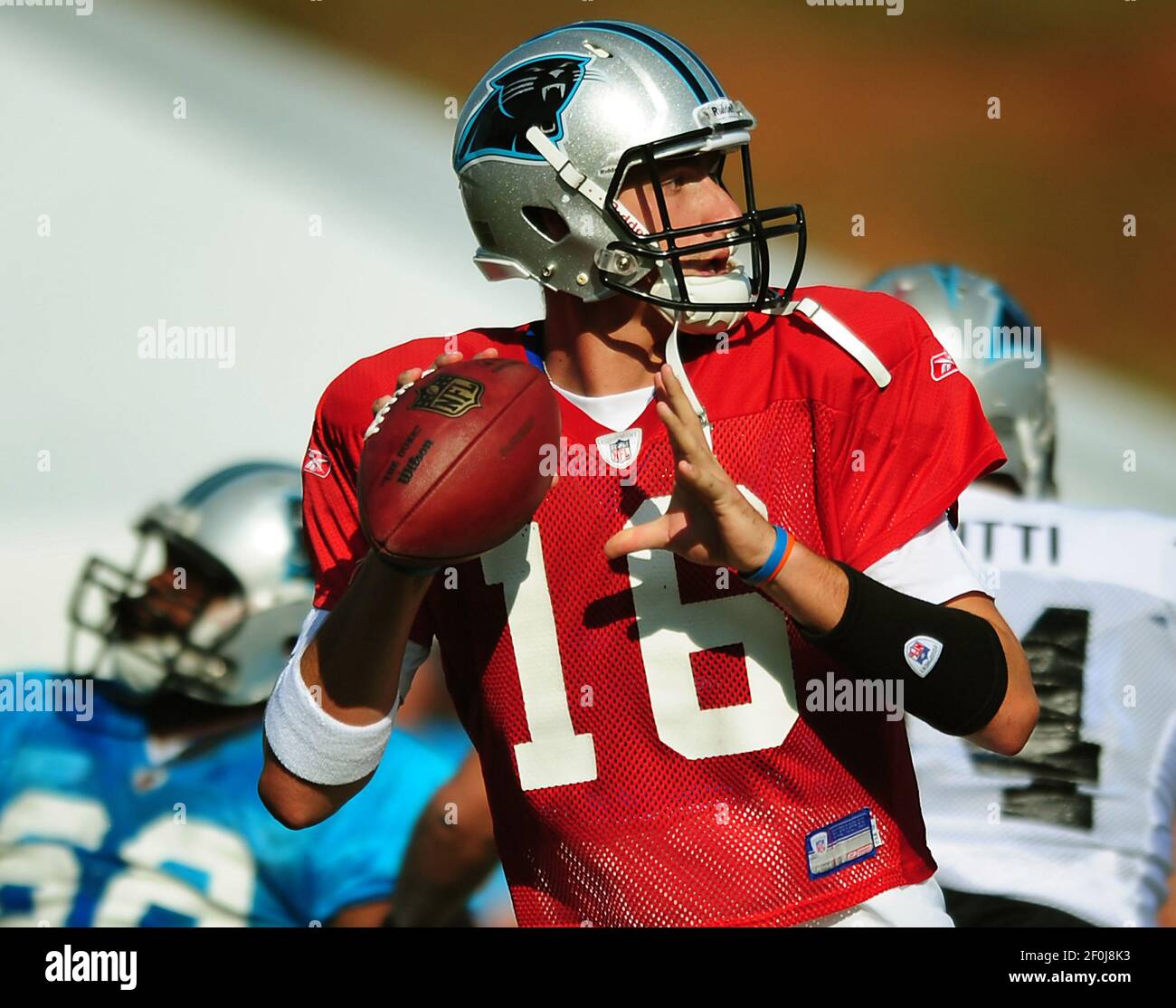 Carolina Panthers rookie quarterback Tony Pike drops back to pass ...