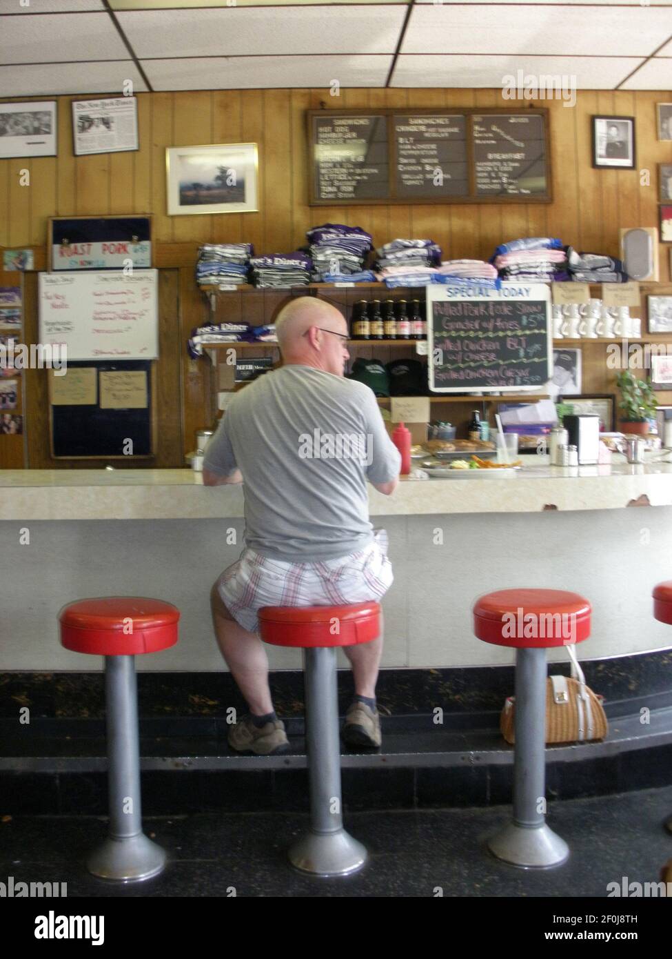Some believe that Joe's Diner in Lee, Massachusetts was one inspiration ...