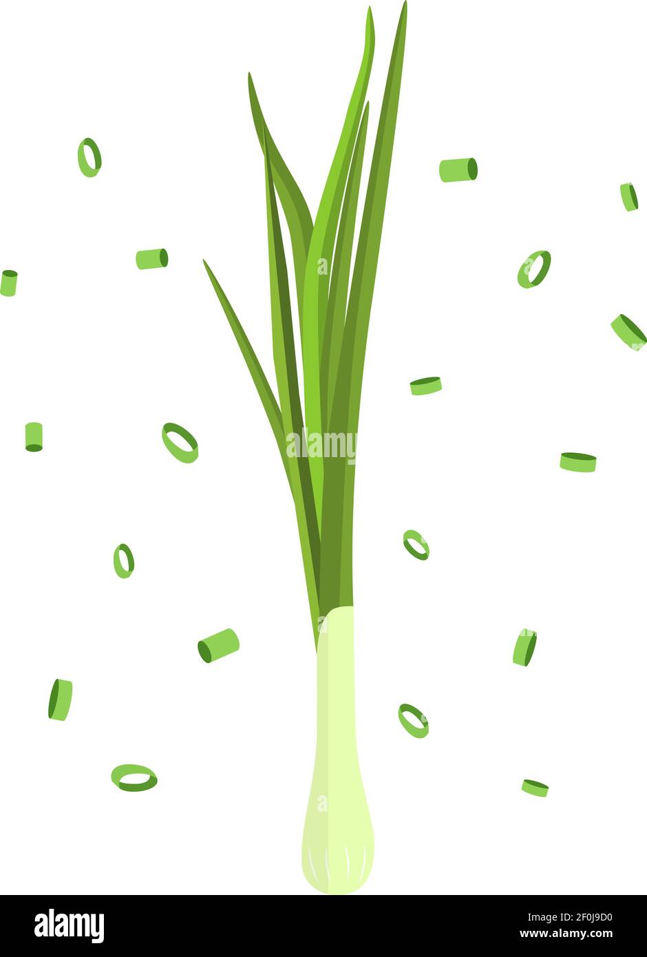 Spring onions isolated Stock Vector Images - Alamy