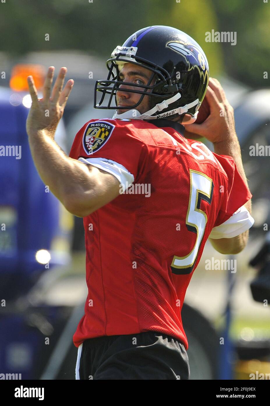 Baltimore Ravens starting quarterback Joe Flacco prepares to pass ...