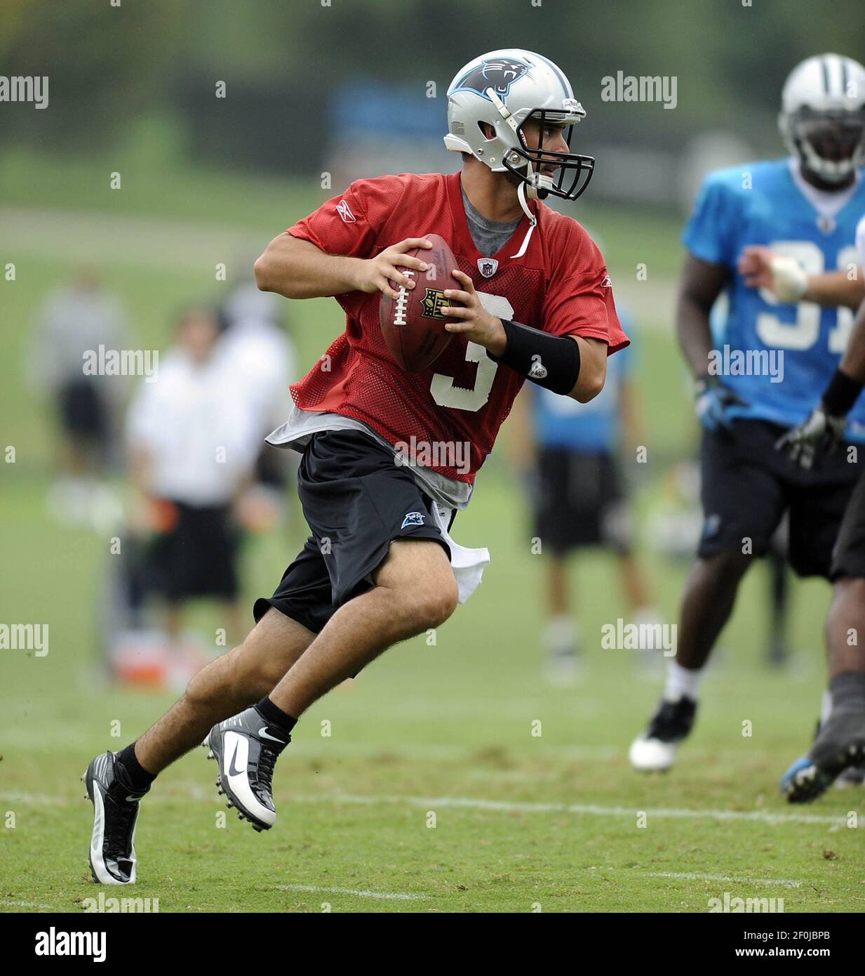 Carolina Panthers' Matt Moore (3) sprints out of the pocket during the ...