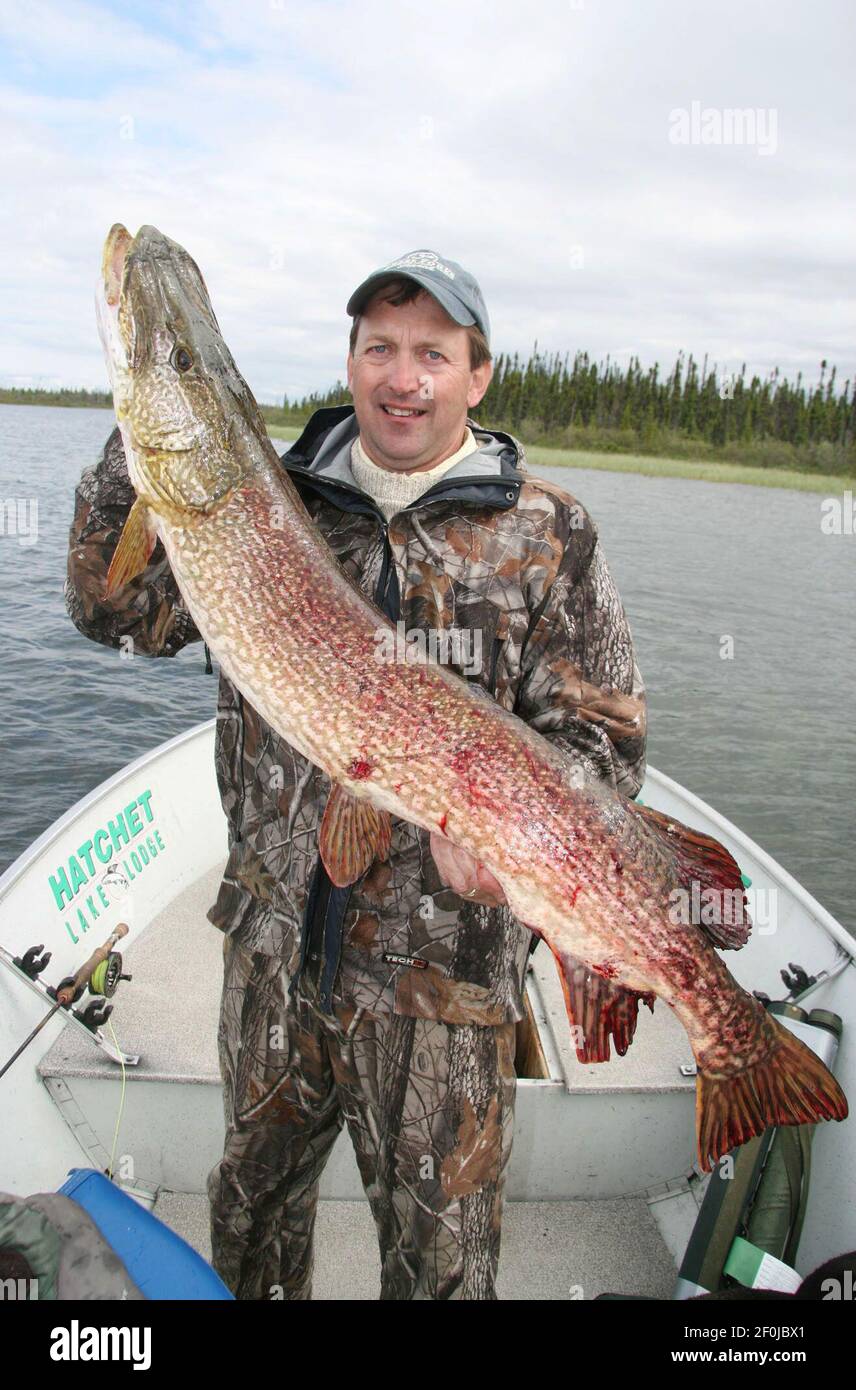 Michael Pearce poses for portrait with a 45 1/2-inch northern pike ...