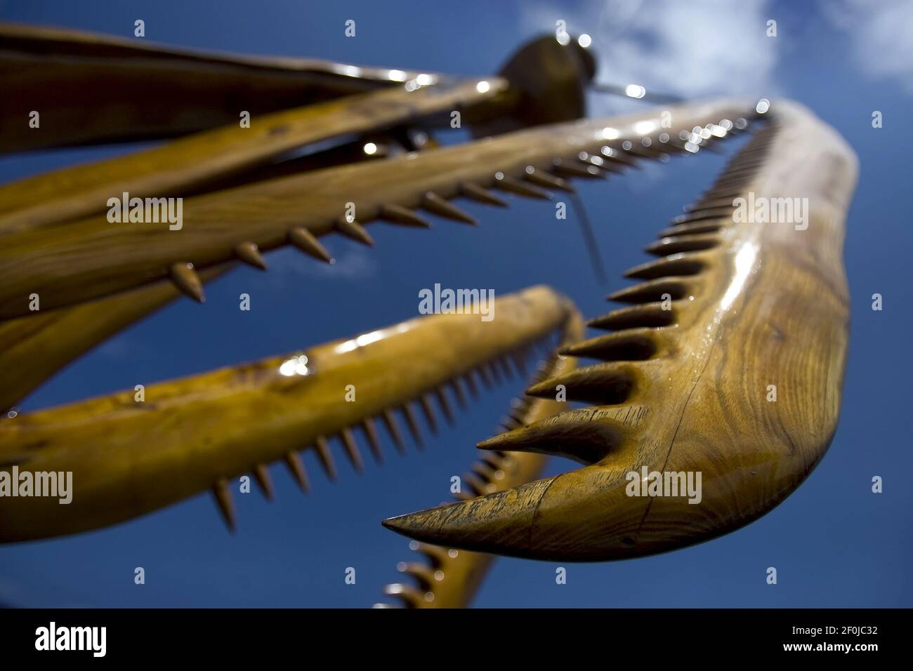 A praying mantis sculpture, carved from black locust wood, is shown at ...