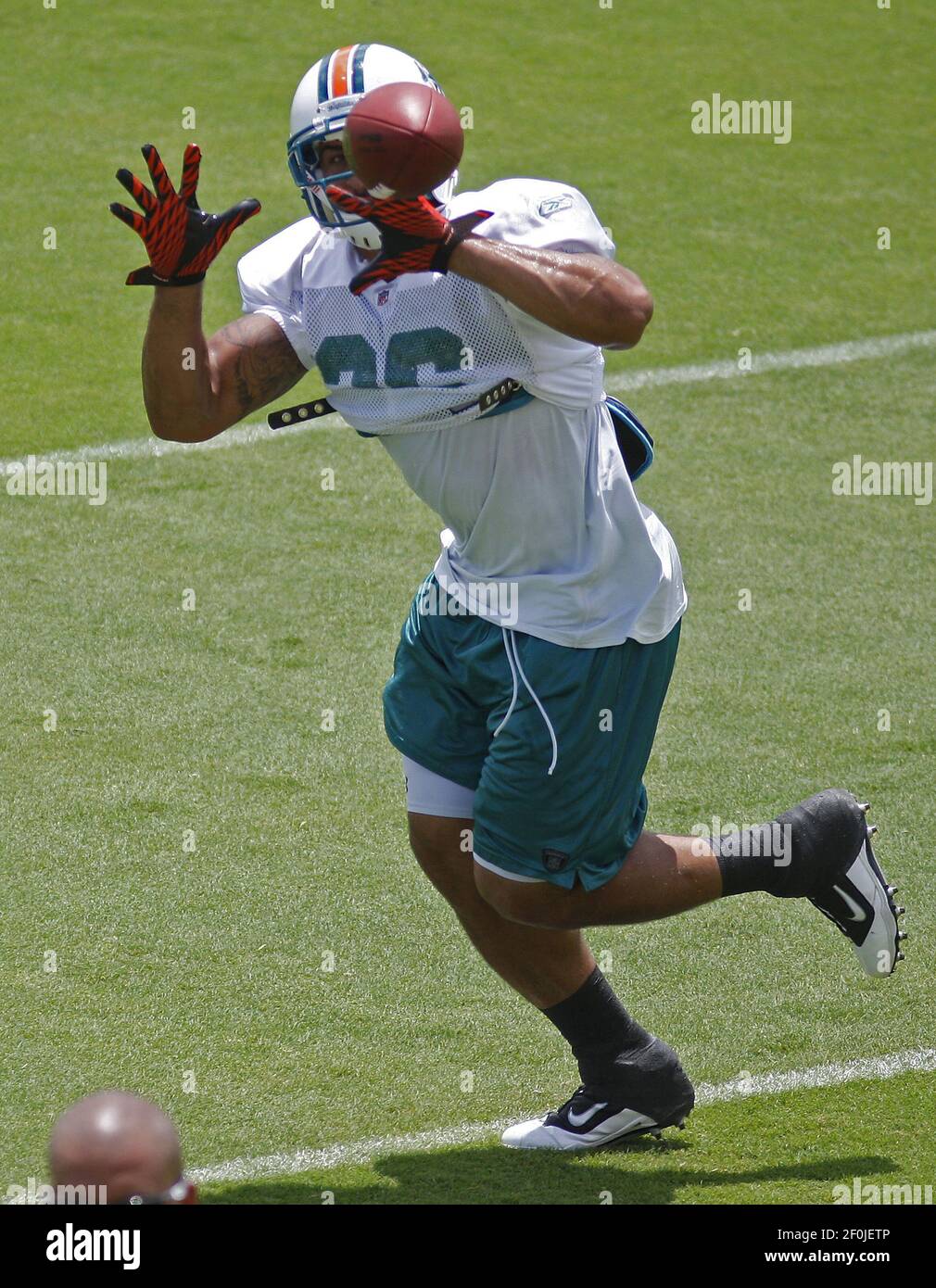 Miami Dolphins running back Lex Hilliard catches a pass during Dolphins ...