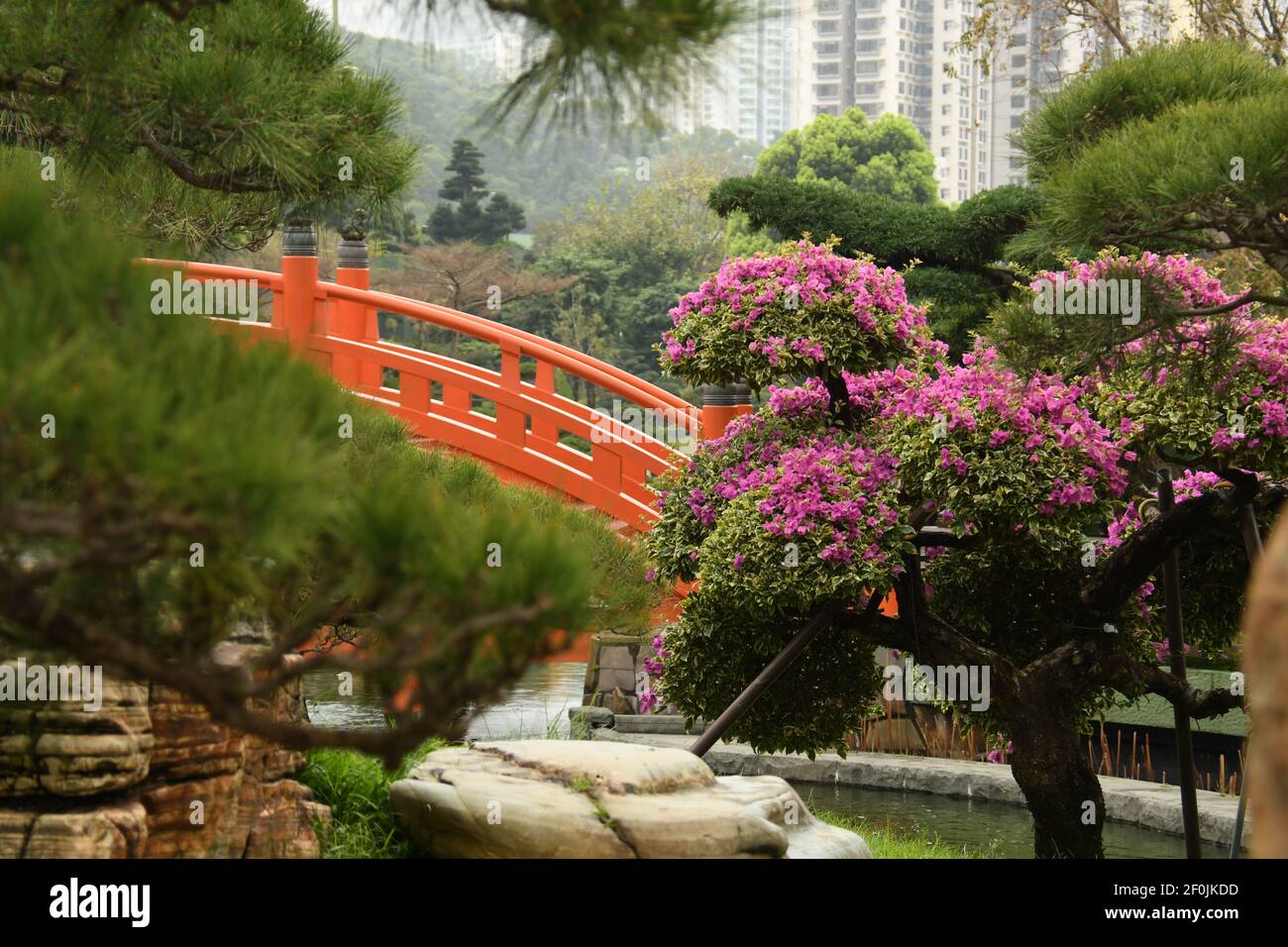 Hong kong vegetation hi-res stock photography and images - Alamy