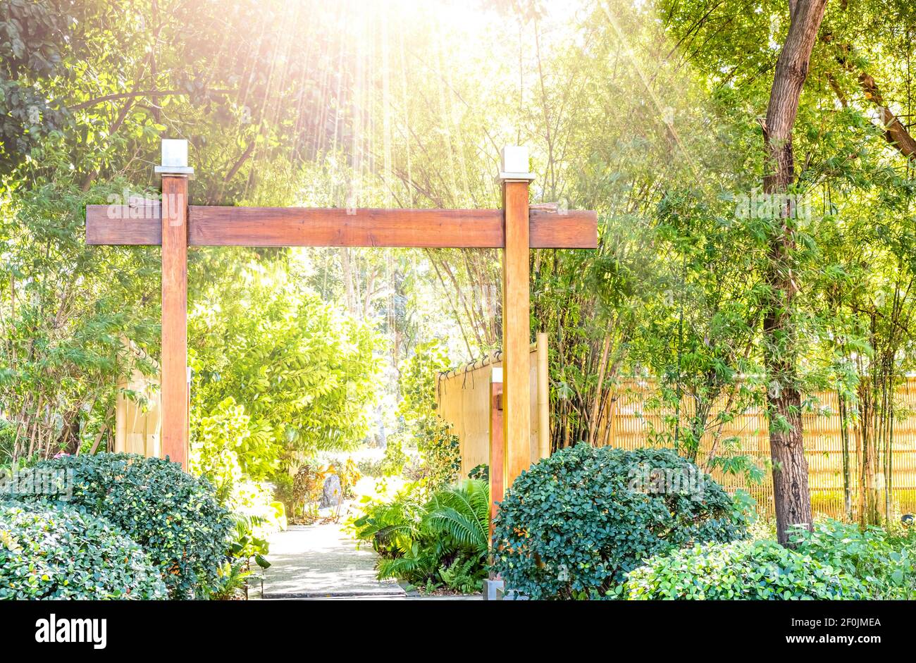 Wooden Japanese gate (torii) at green forest environment abstract ...