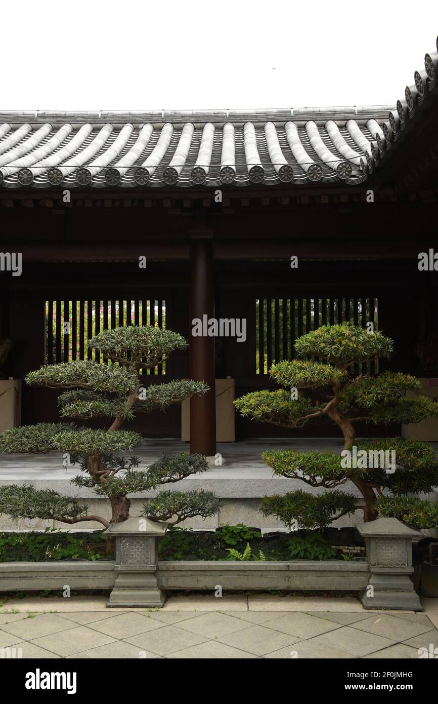 Bonsai pavilion hi-res stock photography and images - Alamy
