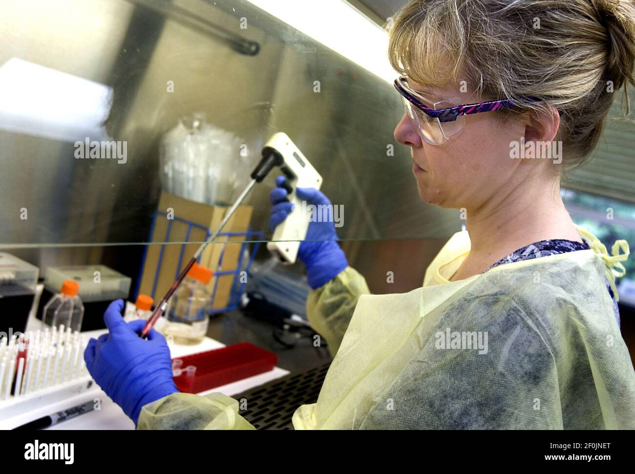 Biotechnology scientist Donna Needham works with blood samples, May 17 ...