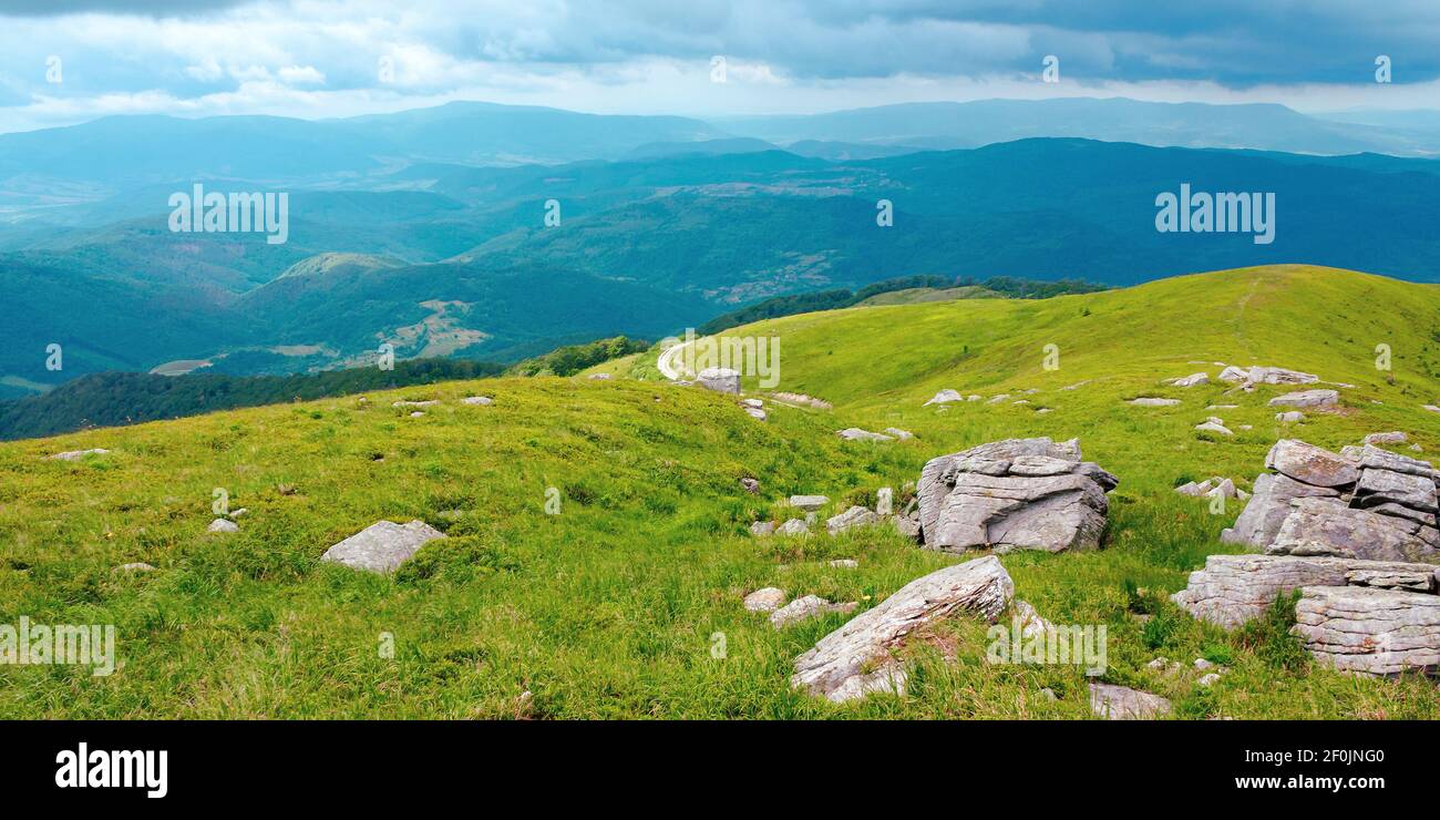 rock among the grass on the mountain meadow. beautiful green nature ...