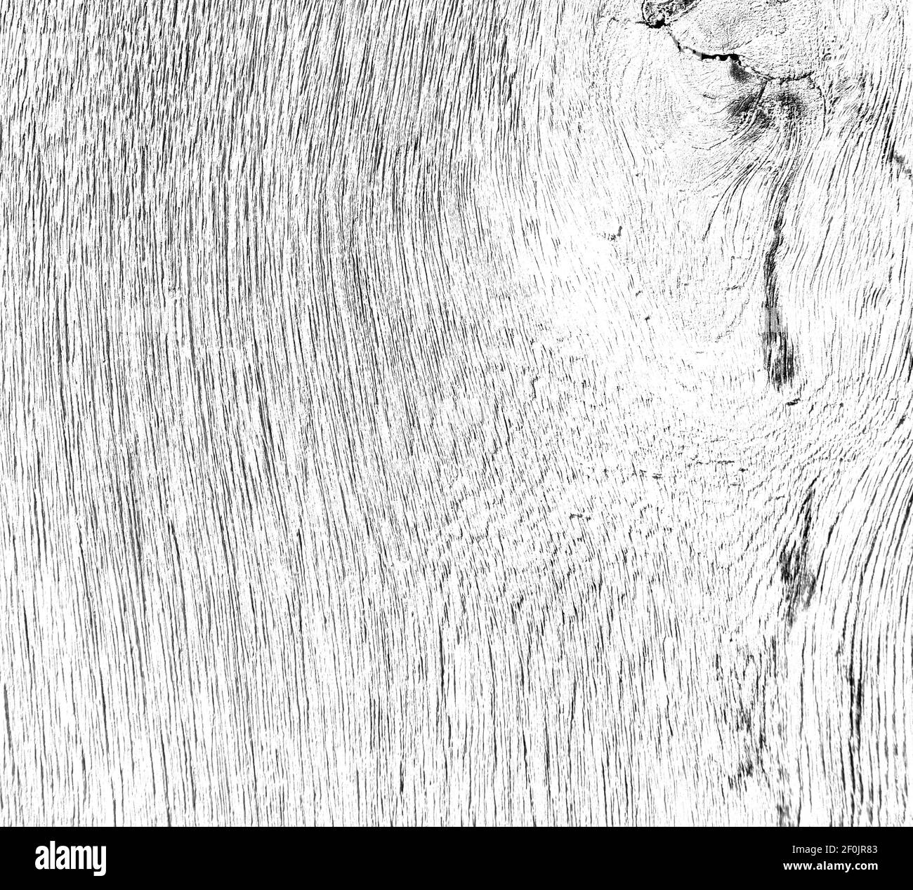 Abstract texture of a tree Stock Photo - Alamy