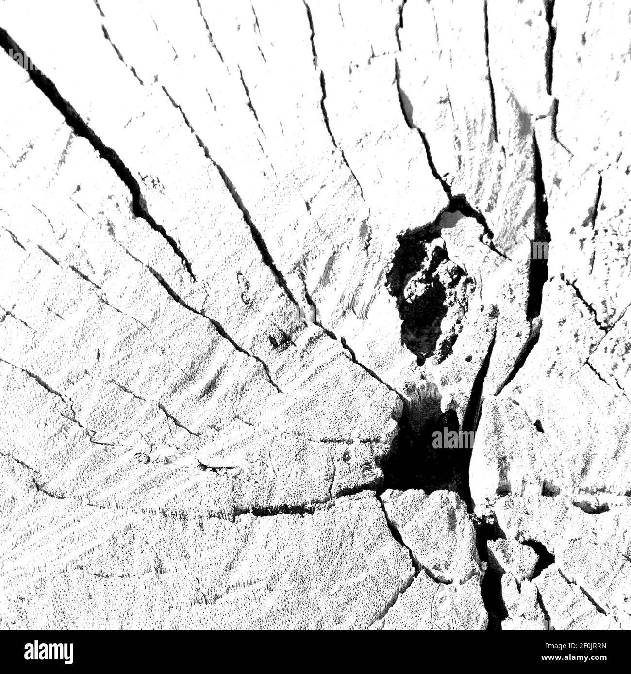 Split timber texture Black and White Stock Photos & Images - Alamy