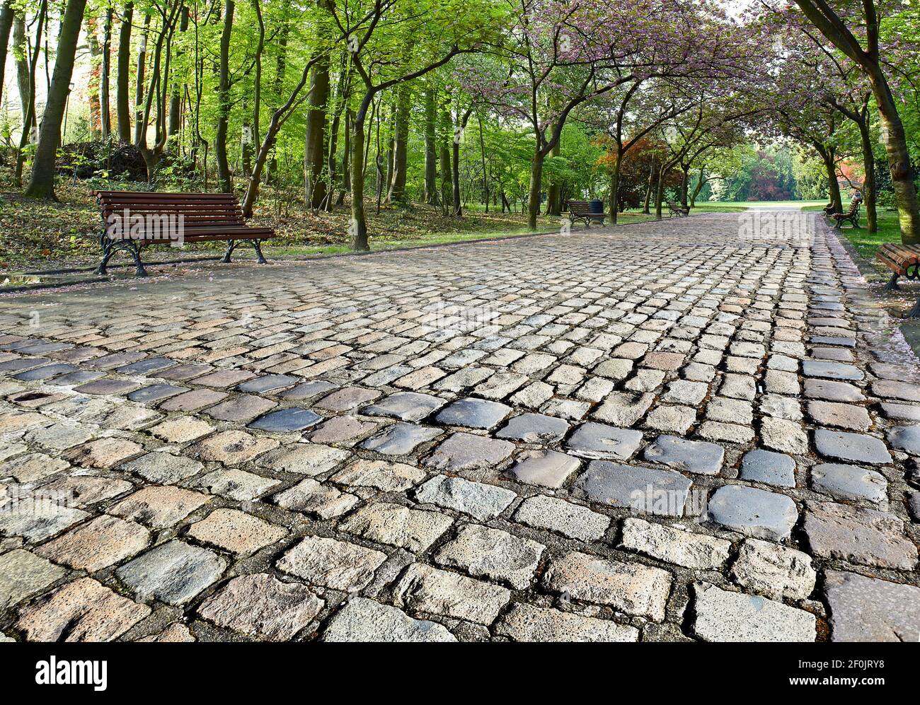Walking paved footpath hi-res stock photography and images - Alamy