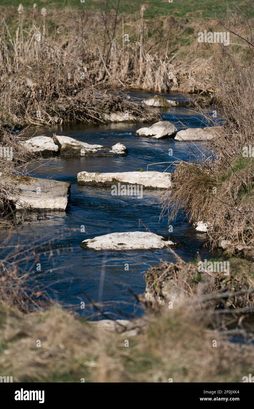 Fish ladders hi-res stock photography and images - Alamy