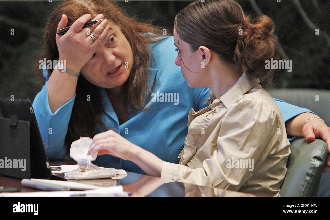 During a break in a court hearing, defense attorney Andrea Lyon, left ...