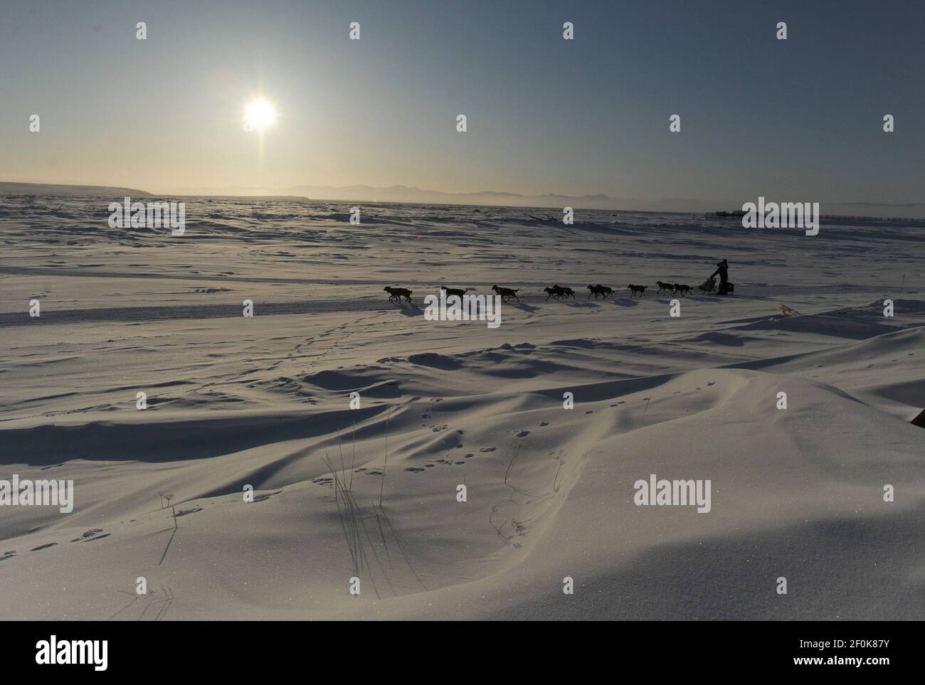 Jeff King leaves the Unalakleet, Alaska checkpoint on Sunday, March 14 ...