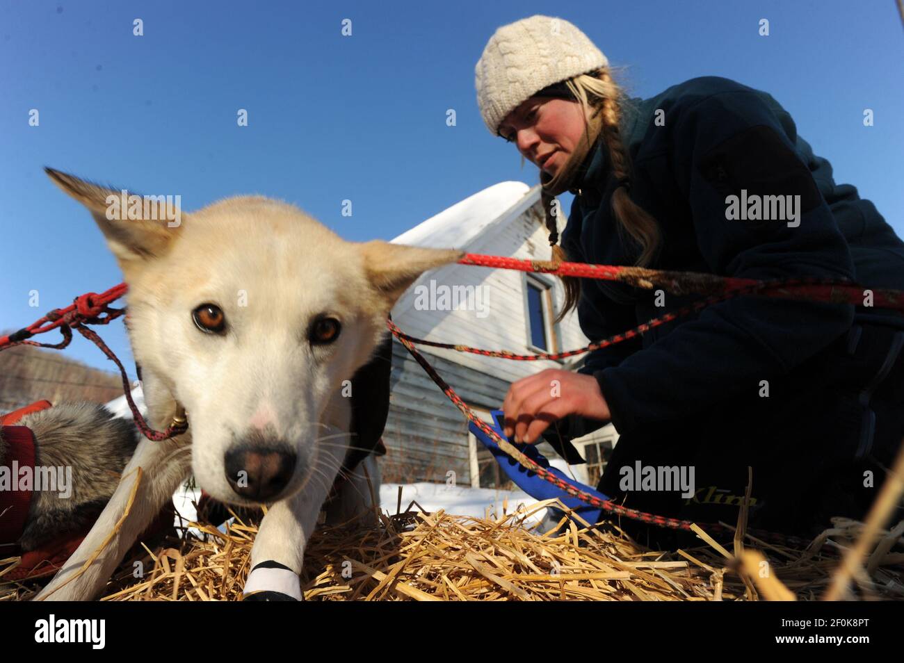 Kristy Berington, of Kasilof, Alaska, booties up her team as she ...