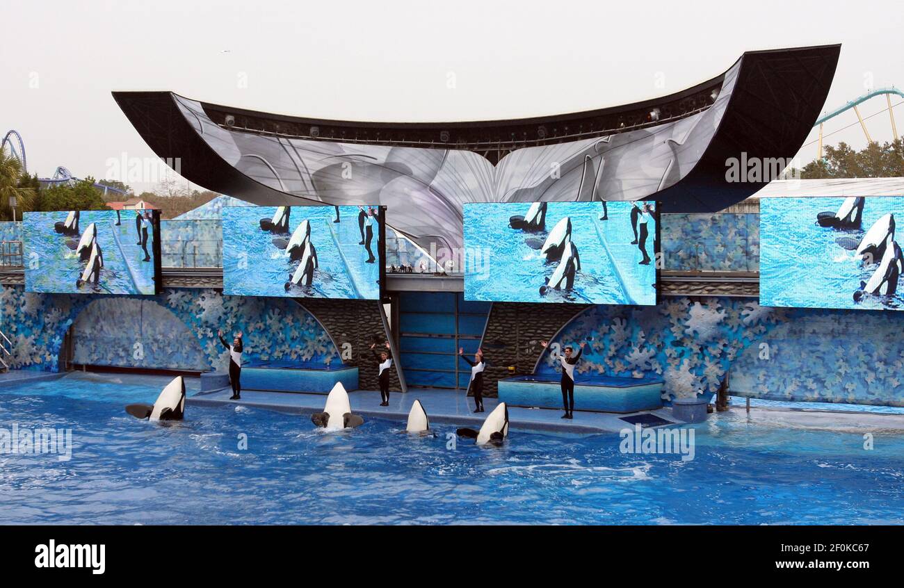 "Believe, The Spectacular Shamu Show," resumes February 27, 2010, at ...