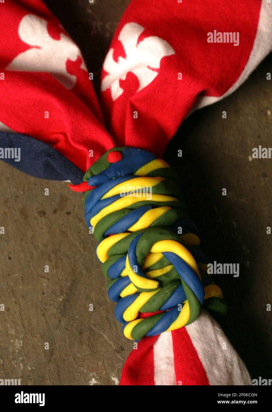 You can mark the occasion of the 100th anniversary of Boy Scouts of ...