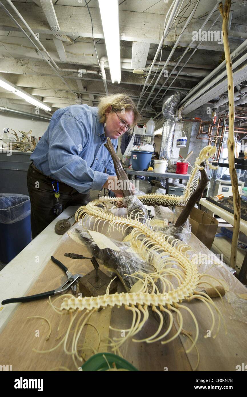 Storm Amacher, owner of Remains to be Seen, a provider of flesh-eating ...