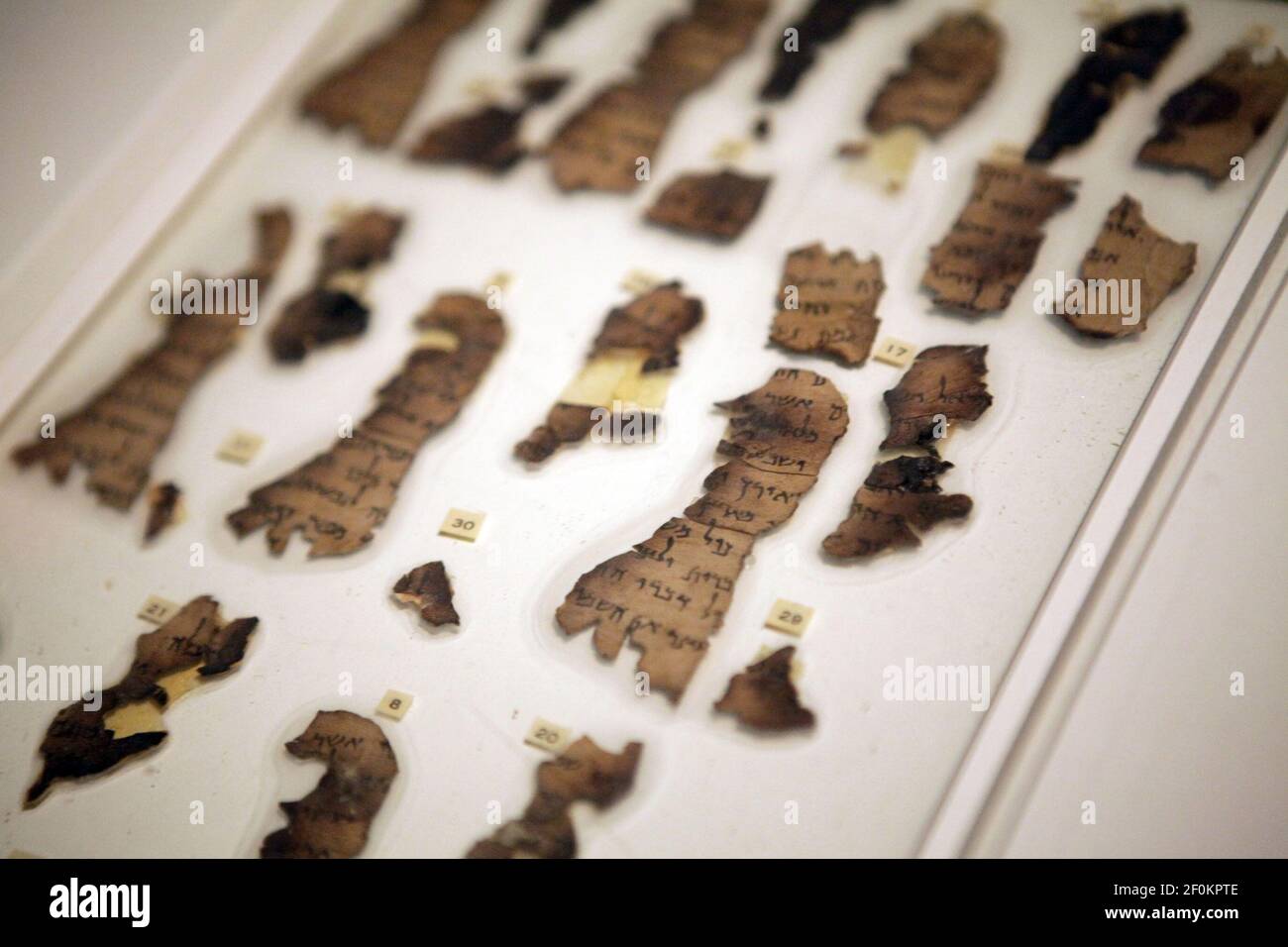 The "Words of Moses" display features scroll fragments circa 1st ...