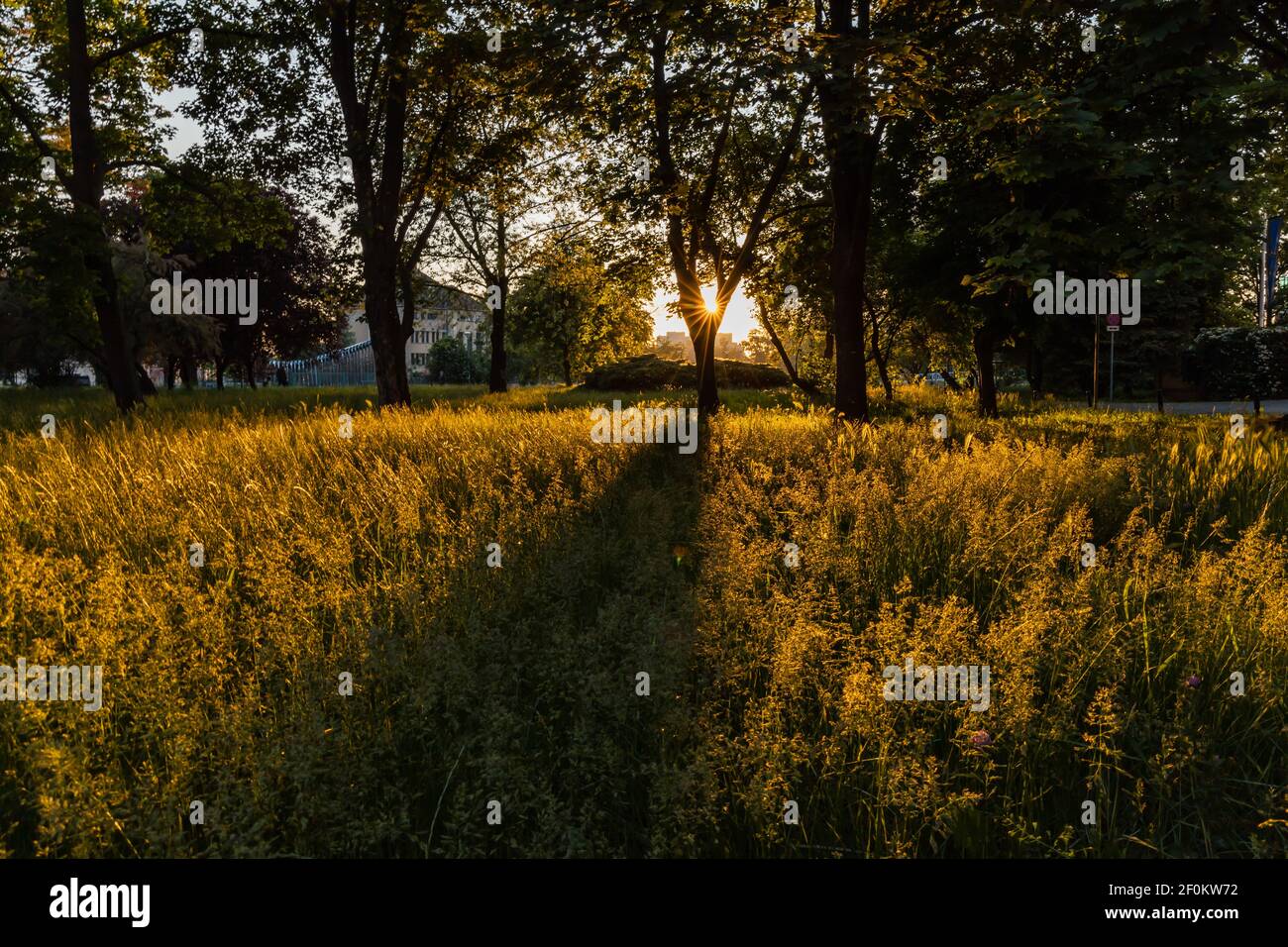 Highlighted fields hi-res stock photography and images - Alamy