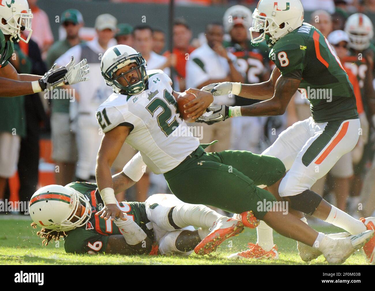 Demetris Murray (21) of South Florida runs the ball deep into Miami ...