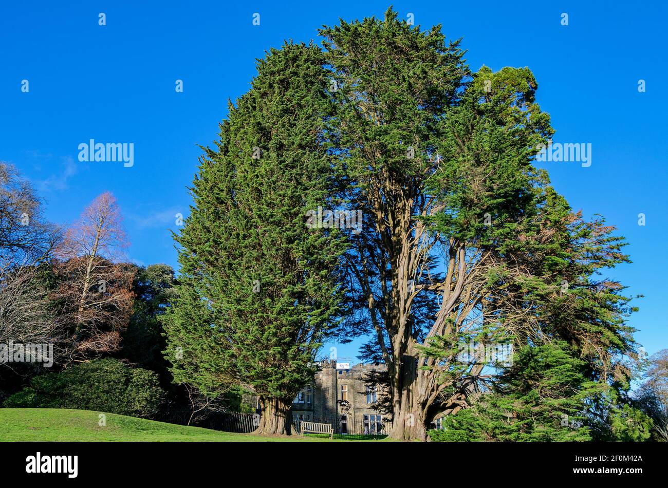 Clyne gardens swansea hi-res stock photography and images - Alamy