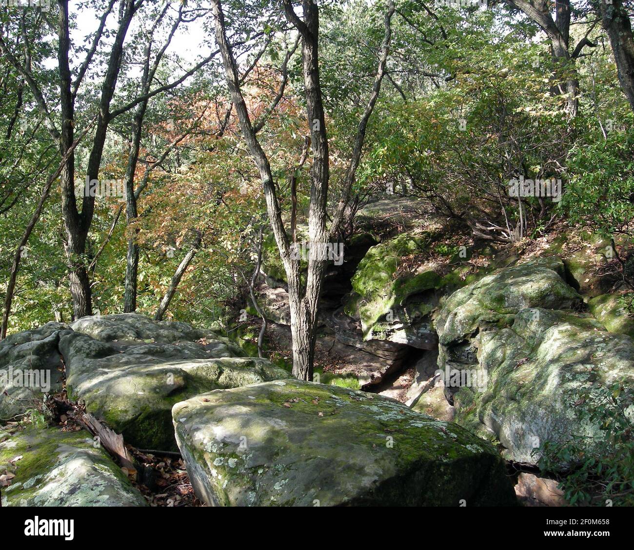 Rocky cliffs of erosion-resistant sandstone dominate at Shallenberger ...