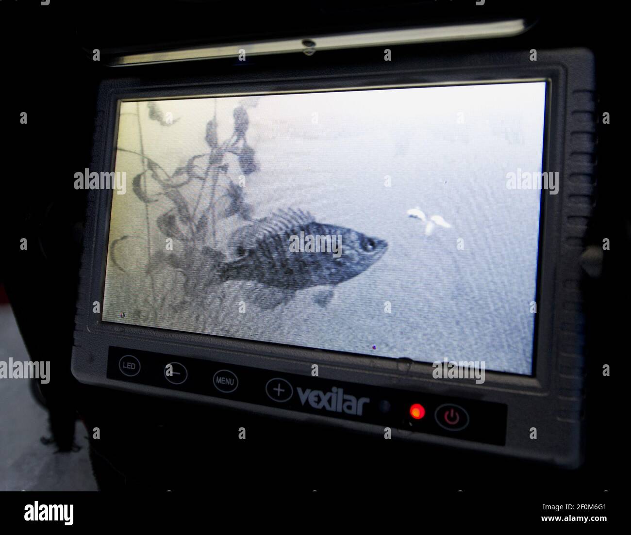Underwater camera fishing hi-res stock photography and images - Alamy