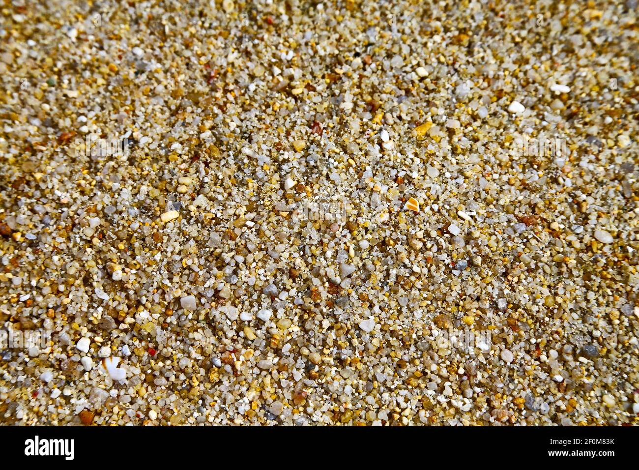 Asia rock stone texture south sea Stock Photo - Alamy