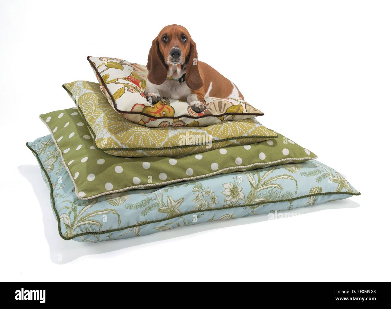 Up Country's indoor pet futons come in four sizes and are lighter than ...