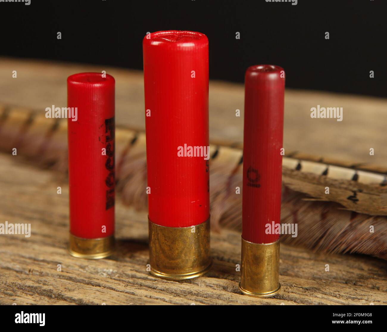 28 Gauge Shotgun Shells